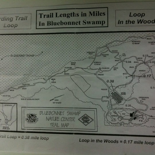 BREC's Bluebonnet Swamp - 5 tips