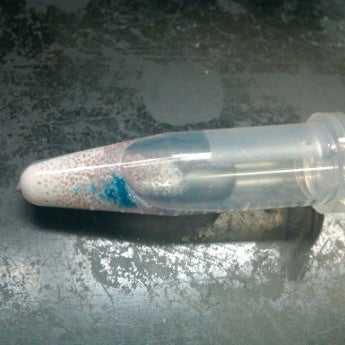 Photos at Coates Hall - College Academic Building in Baton Rouge