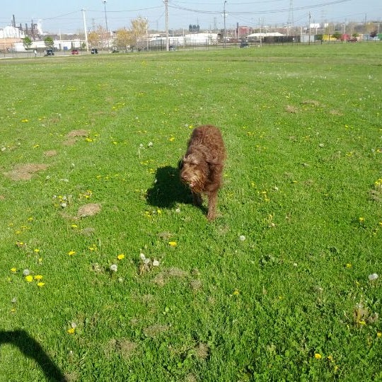 Photos at Clark Fields - Park in Tremont
