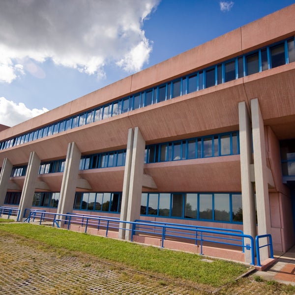 Università degli Studi di Udine; Facoltà scientifiche - Università in Udine