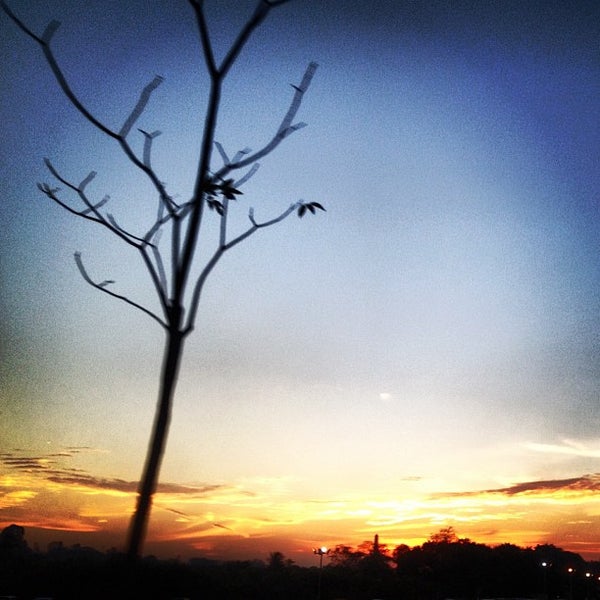 WD Agility Logistics - Office