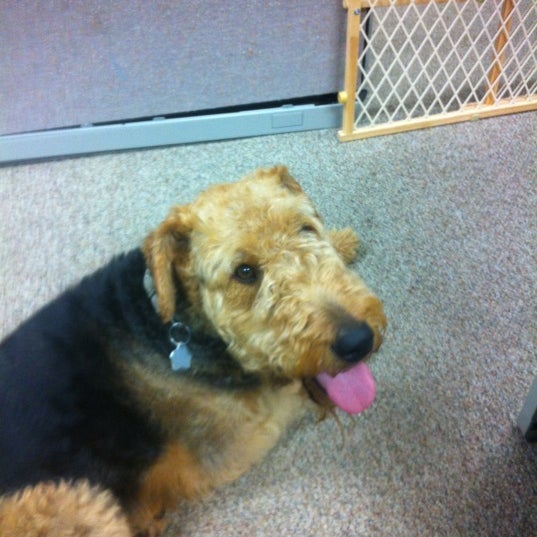 Maritz Research - Fenton, MO