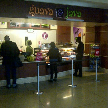 Guava & Java - Terminal A East