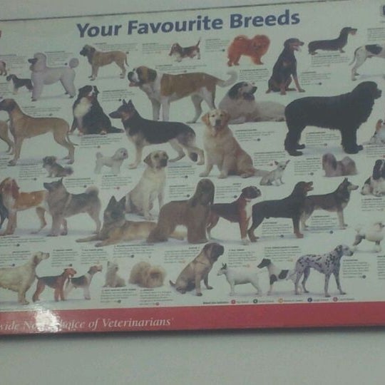 Cessna Life line Vet Hospital - 2 tips from 63 visitors