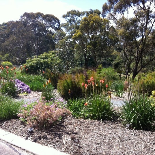 Wittunga Botanic Garden - 3 tips