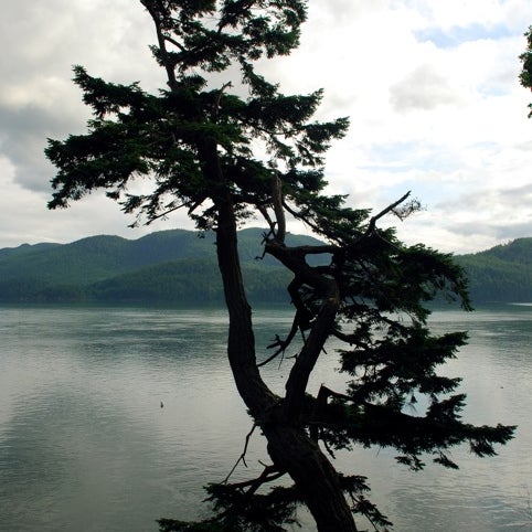 Sinclair Island - Urban, WA