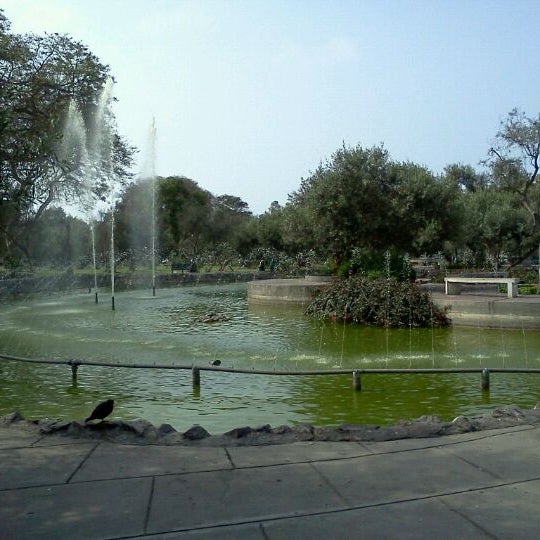 Bosque El Olivar - Park in San Isidro