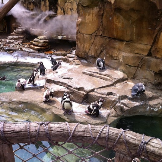 Akron Zoo - West Akron - 53 tips