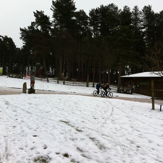 Birches Valley Forestry Centre - 8 tips from 229 visitors