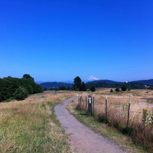 Powell Butte Nature Park - 13 tips from 817 visitors