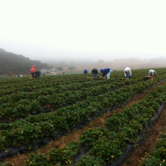 Gomez Ranch - Watsonville, CA