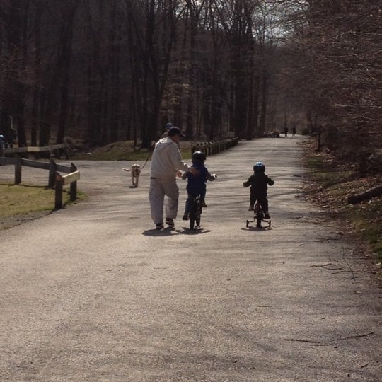 Gedney Park - Baseball Field