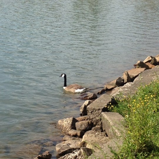 Ethel Lake Wellness Trail - Derry, PA