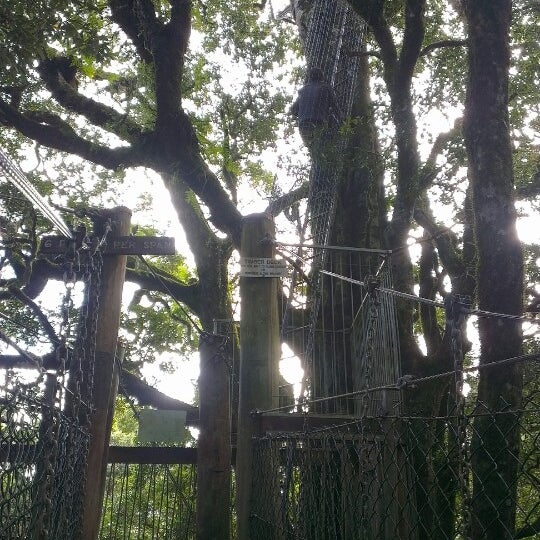 Photos at O'Reilly's Tree Top Walk - Hiking Trail