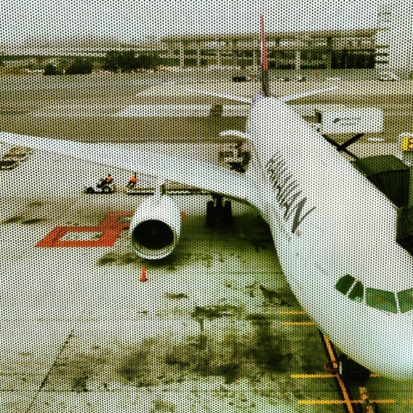 Gate A10 - 3 tips from 1563 visitors