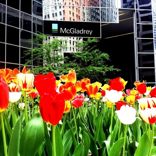 RSM US LLP - The Loop - Chicago, IL