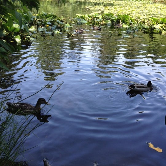 Photos at Robinswood Park - Park in Bellevue