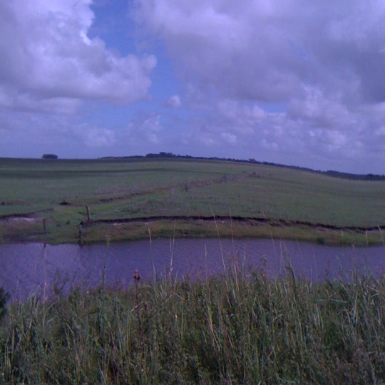 Estacao Ecologica Do Taim - 3 tips