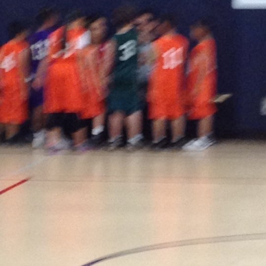 Ivy Academia - College and University in Woodland Hills