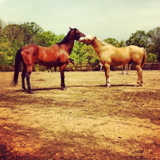 Watchung Reservation - Park
