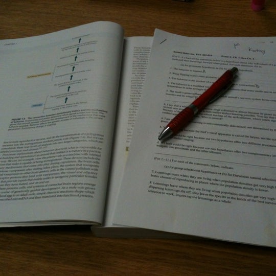 Tarleton State University - Dick Smith Library - College Library in ...