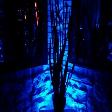 Sotto - State Street - Madison, WI