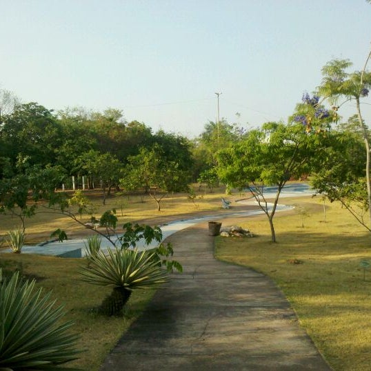 Parque Estadual Massairo Okamura - Morada do Ouro - 20 tips from 243 ...