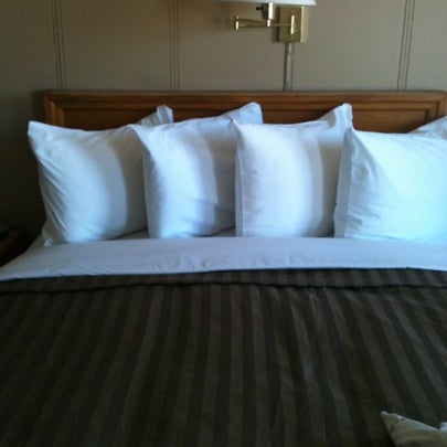 Harbourside Motel - Motel in Tobermory