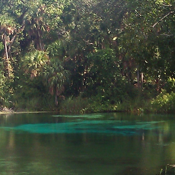 Alexander Springs - 10 tips from 372 visitors