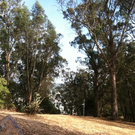 Photos at Albany Hill Park - Albany, CA
