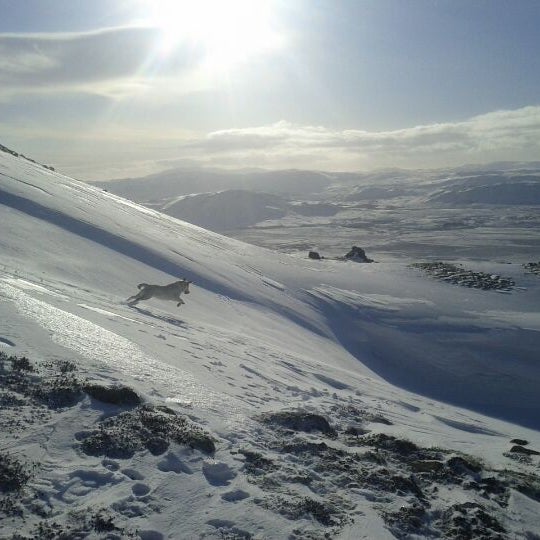 Esjan - Reykjavík, Höfuðborgarsvæði