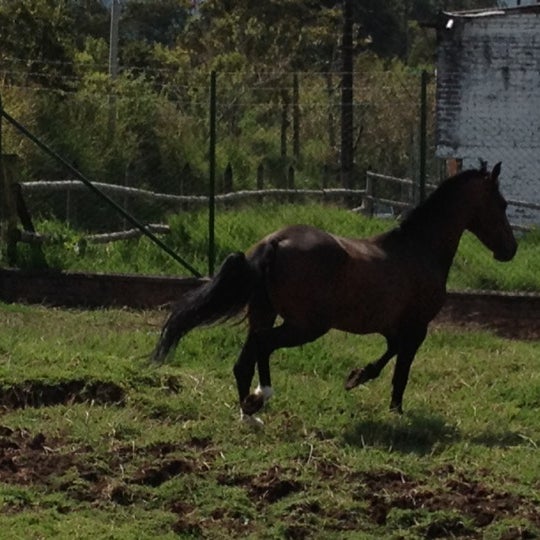 Mirador de los Caballos - Stables