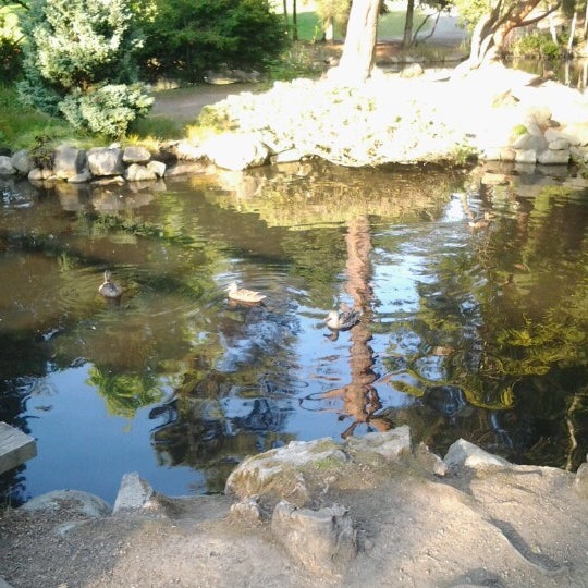 Point Defiance Duck Pond - West End - 5910 N Waterfront Dr