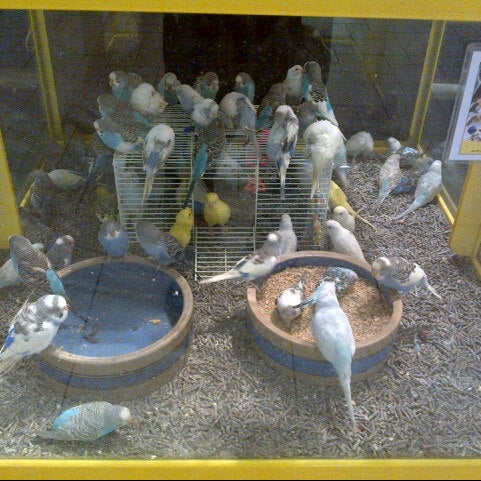 PJ's Pets - Pet Supplies Store in City Centre