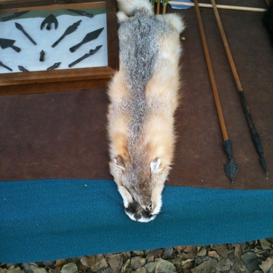 Squire Archery - Bonner - Loring - 0 tips