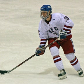 Lee Clement Ice Arena - 98 Bridge St