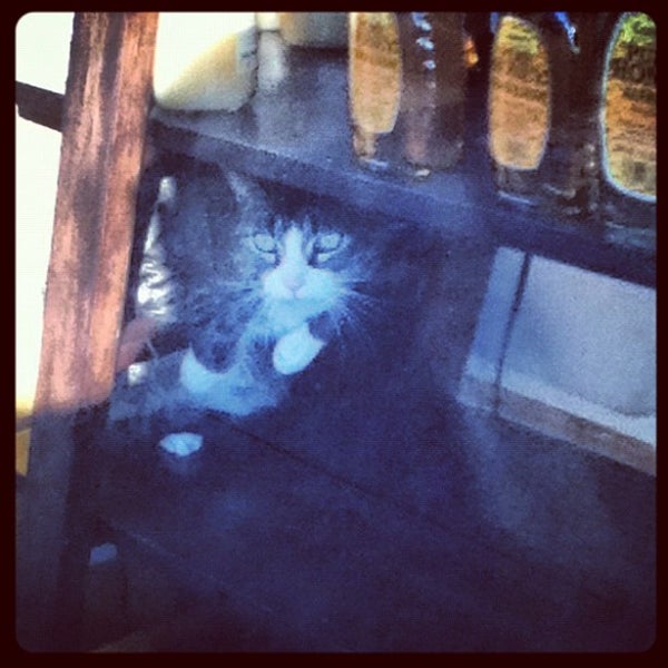 The Family Store - Bay Ridge - 5 tips from 106 visitors