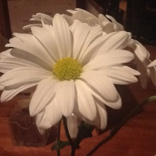 Calactus cafe restaurant - 11 tips from 254 visitors