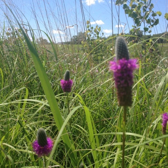 Mound Springs Park - East Bloomington - 2 tips