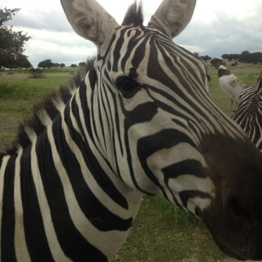 Topsey Exotic Ranch - 3 tips from 172 visitors