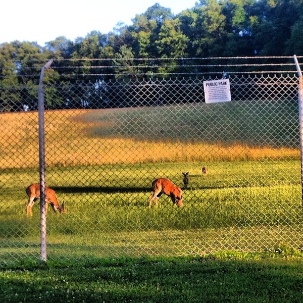 Muddy Run Park - Park