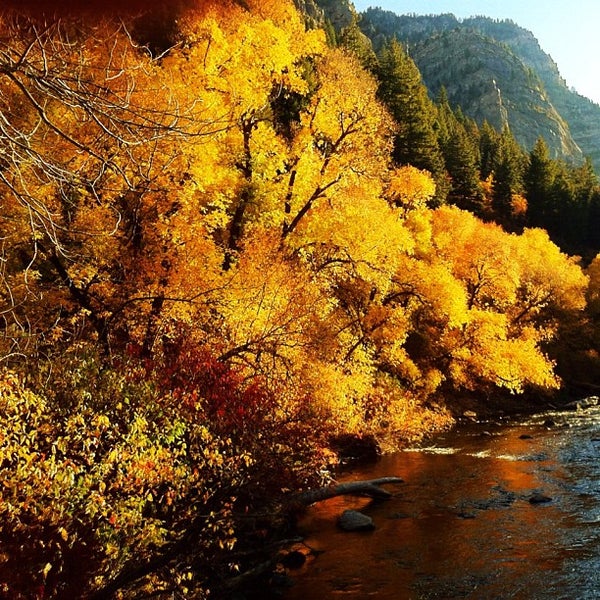 Middle Provo River - Fishing Access Bunny Farm - 1 tip