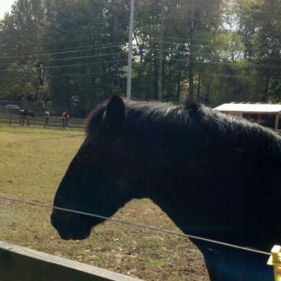 Atlanta Police Mounted & K-9 Patrol - Police Station in Atlanta