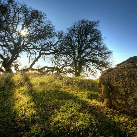 Jenks High School Building 6 Auditorium - Jenks, OK