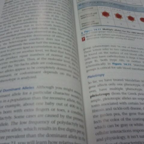 Rocket Hall - 11 tips from 1060 visitors