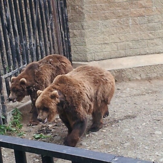The Alaska Zoo - Zoo in Anchorage