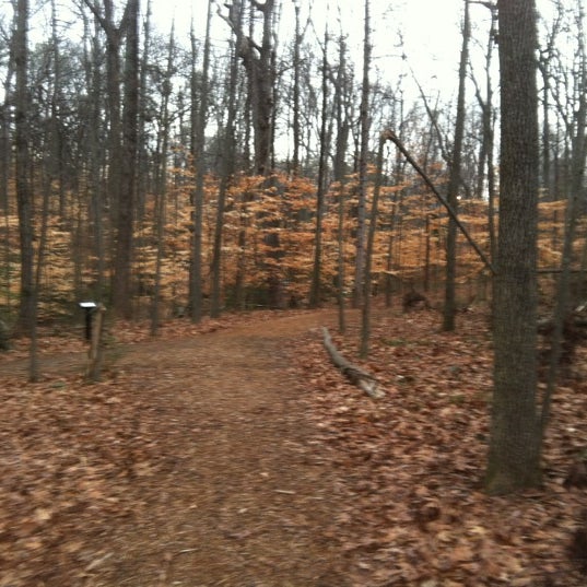 Photos at Deepdene Park - Park in Eastside