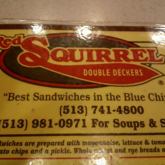 Red Squirrel Downtown Cincinnati