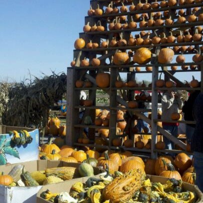 Photos at County Line Orchard - Farm