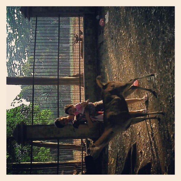 Kandang rusa UI - Other Great Outdoors in Depok